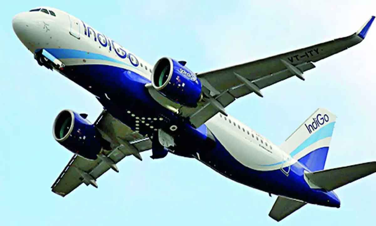‘IndiGo’s mega order will be game changer’