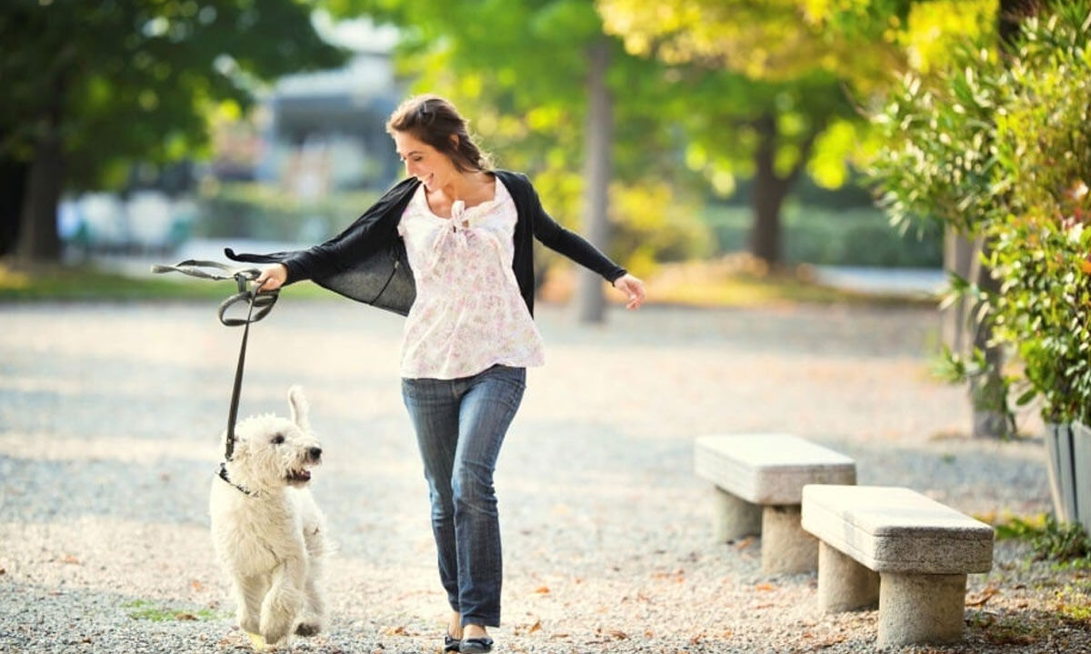 How to keep your pet safe during Monsoon