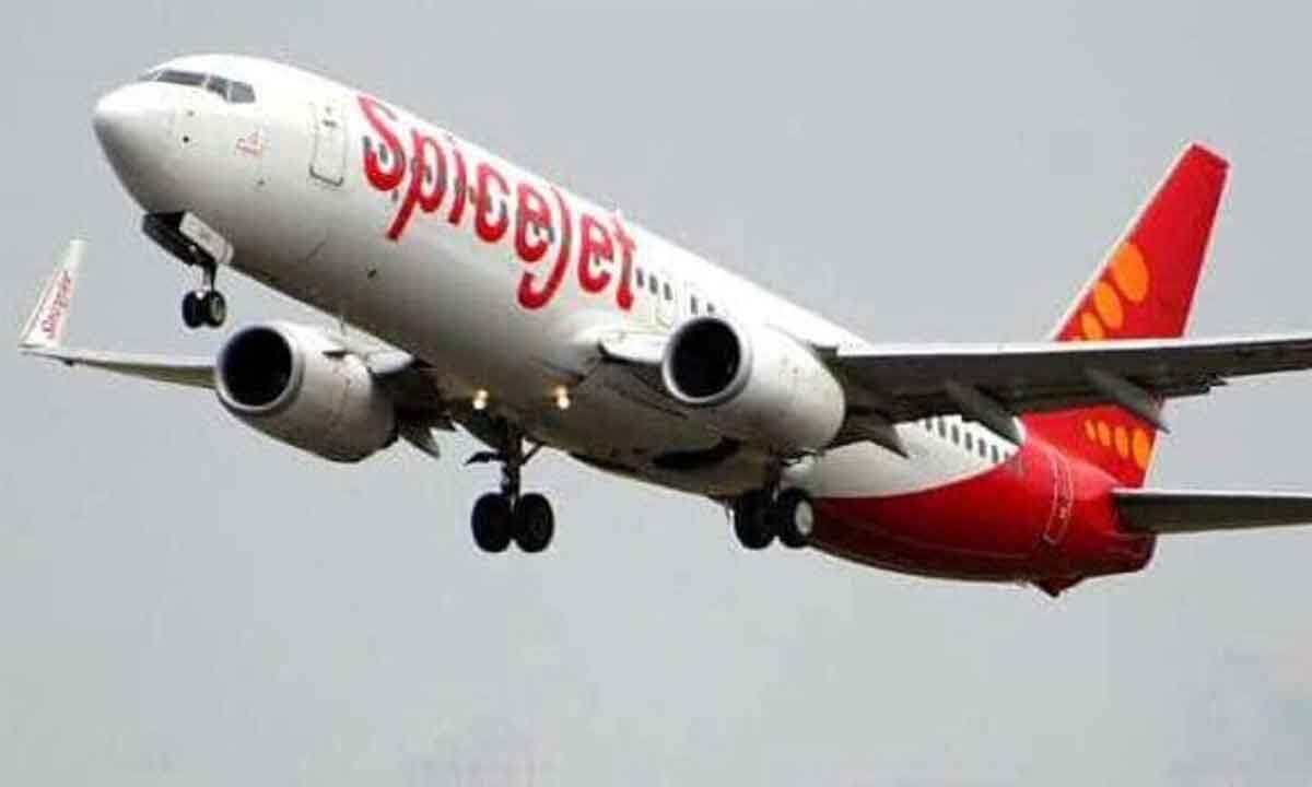 SpiceJet shares trim most of early gains; settles nearly 1 pc higher ...