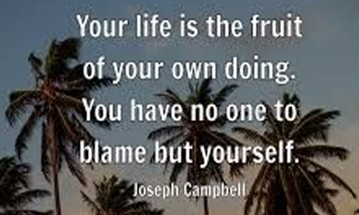 Direct your own evolution