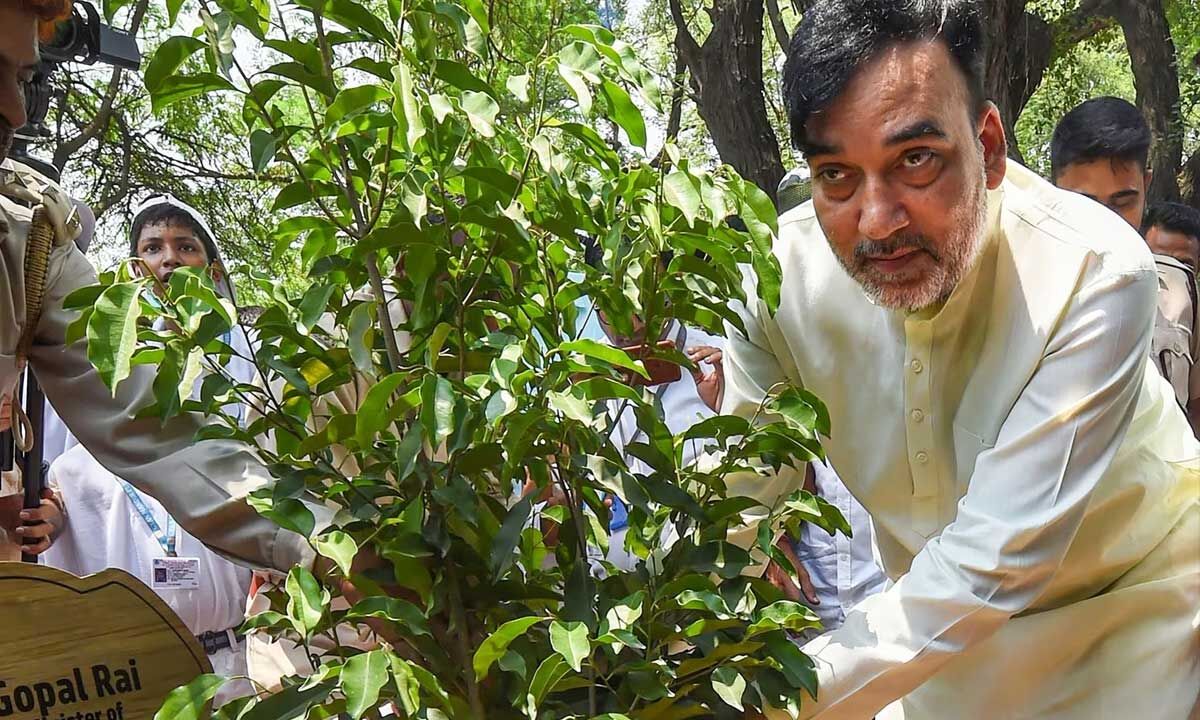 Delhi's Environment Minister inaugurates fourth Van Mahotsav