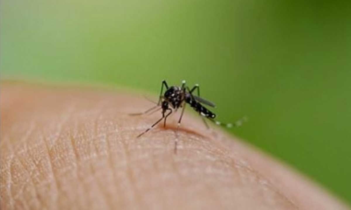 Surge in fever cases in Lucknow; dengue, typhoid on the rise