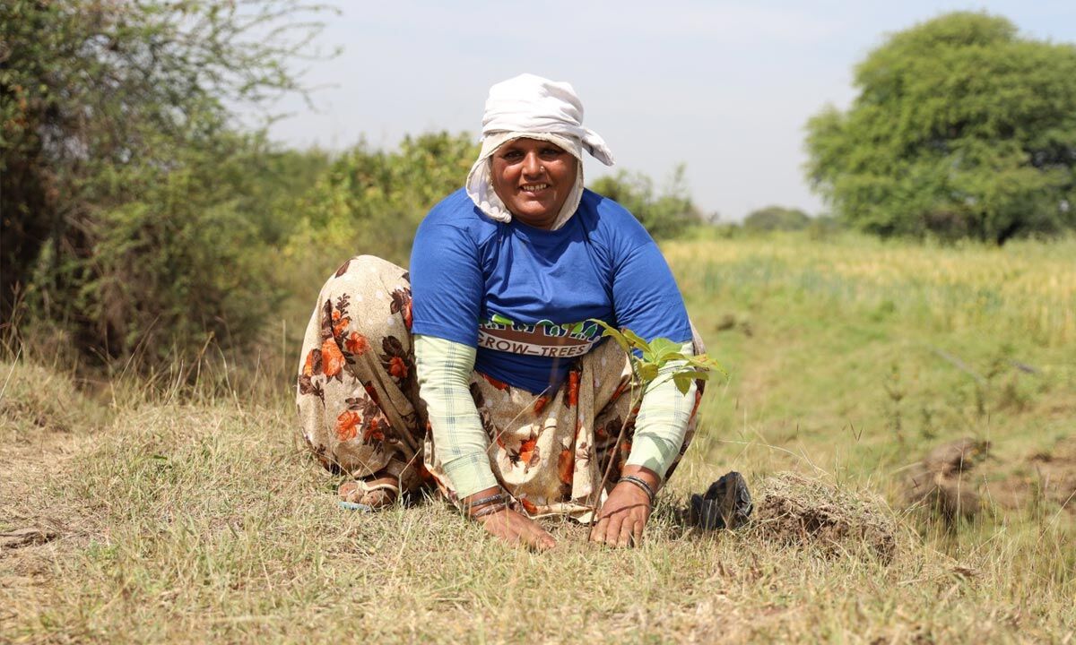 An Independence Day Pledge: A call to plant 3 million trees for a ...