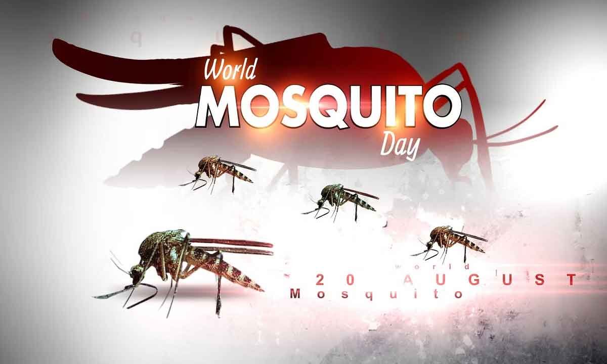 ‘World Mosquitoes Prevention Day’ today