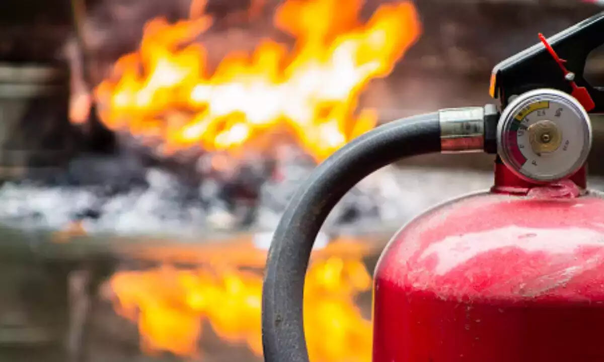 Delhi: Massive Fire Broke Out In Factory In Nilothi Village