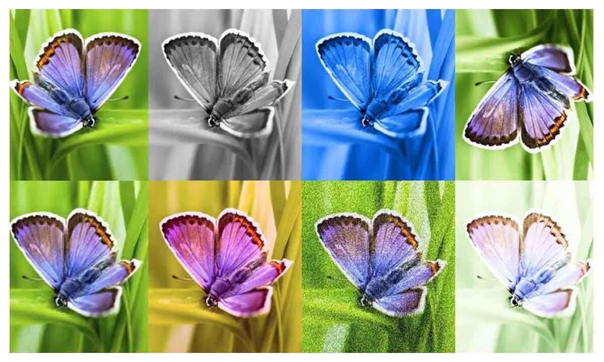 Google tests new tool to watermark, identify AI images