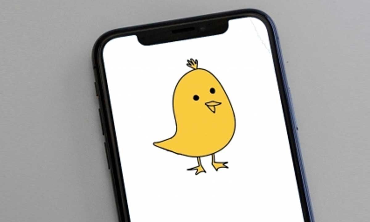 India's Koo looking for 'strategic partner' to build at scale amid ...