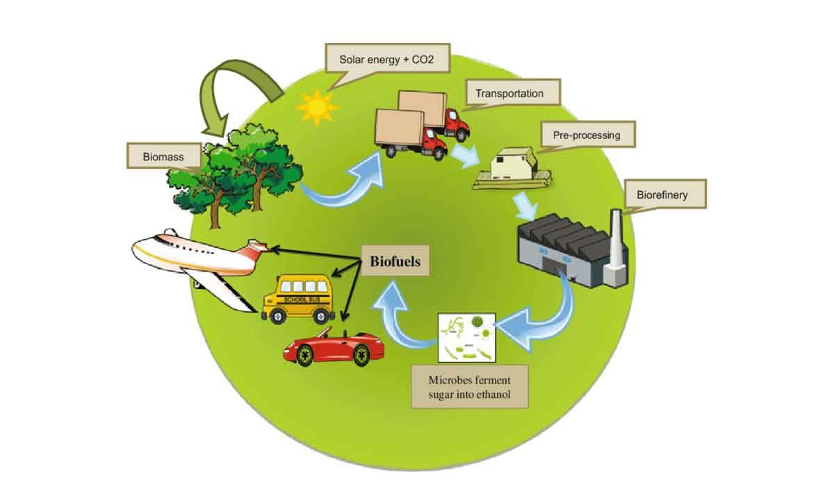 Biofuels to power clean energy drive