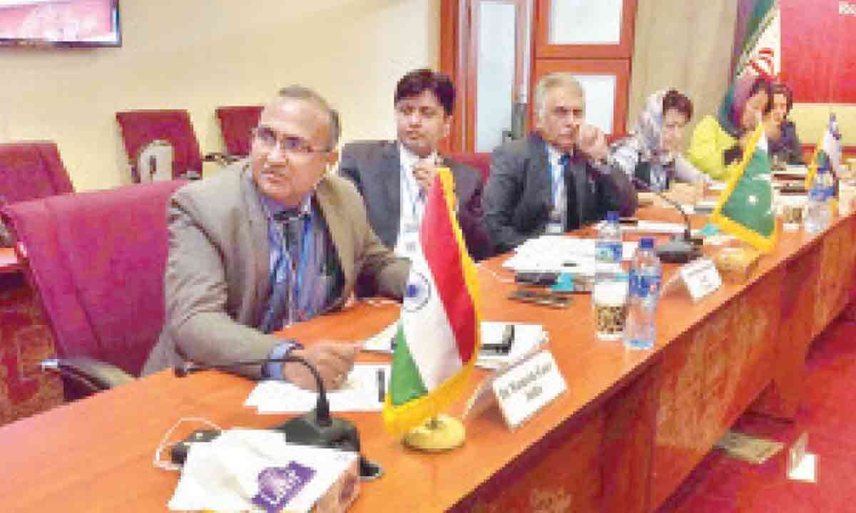 Arts preserve indigenous languages and culture, decode with preservation