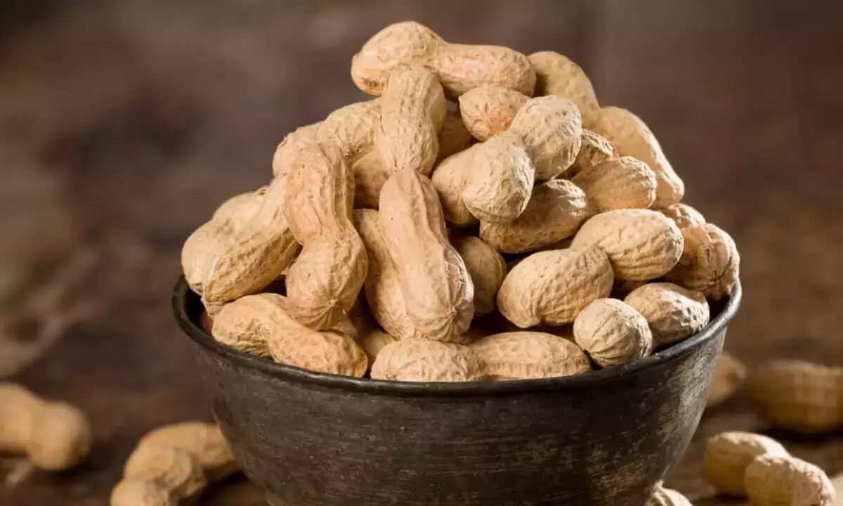 Protein therapy can be a safe approach to treat peanut-allergic ...