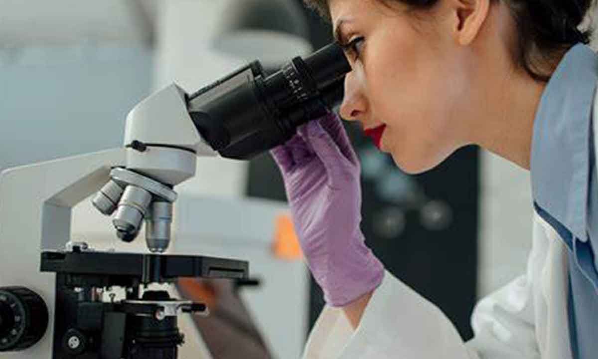 History of International Day of Medical Physics