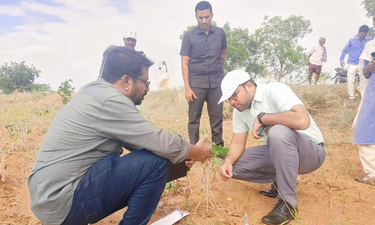 Make proper assessment of crop damage, officials told