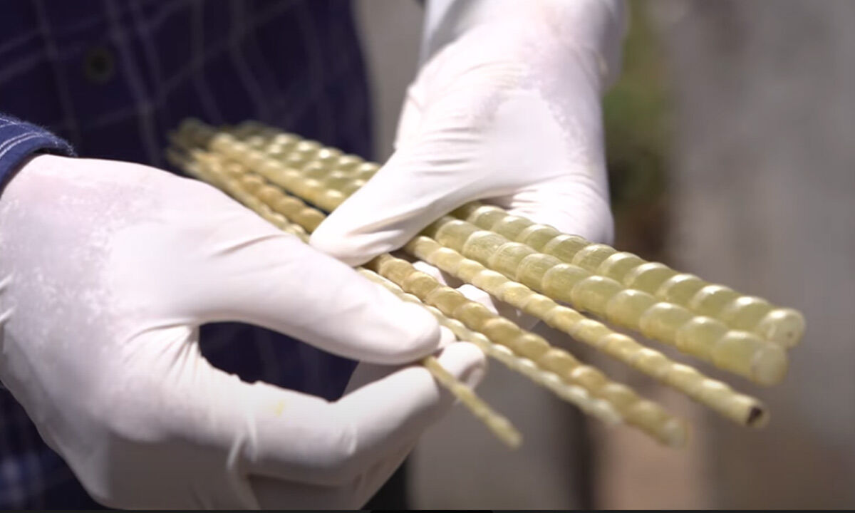 IIT Hyderabad Propose Use of GFRP Rebar, Discrete Fiber-Based ...
