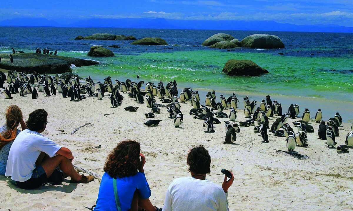 A journey for young explorers