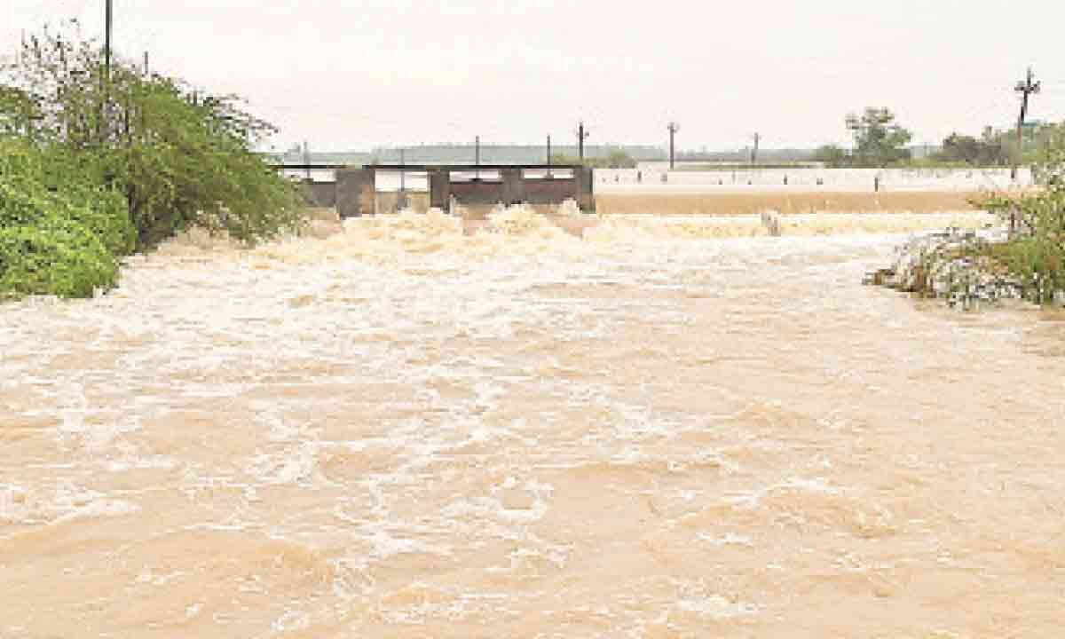 Nellore: Cyclone brings cheers to dryland farmers
