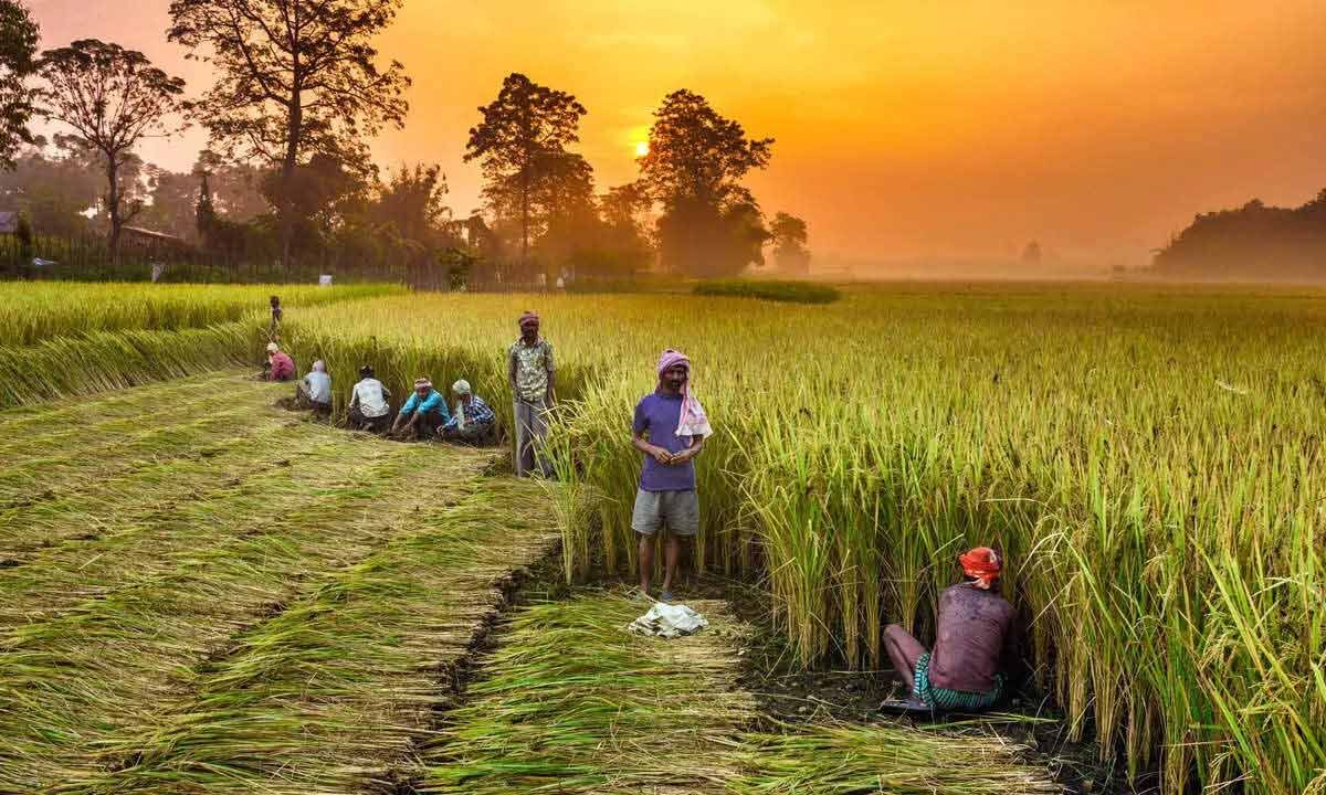 Vijayawada: Farmers’ associations to stage protests tomorrow