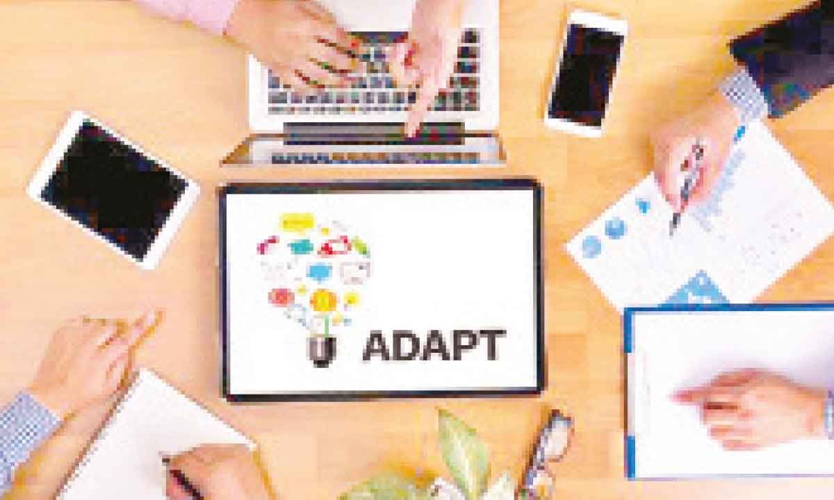 Enhance your adaptability skill