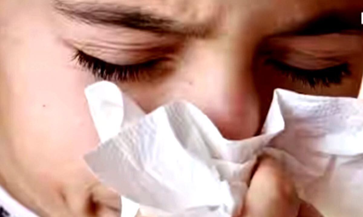 New antibody may help fight multiple forms of flu virus