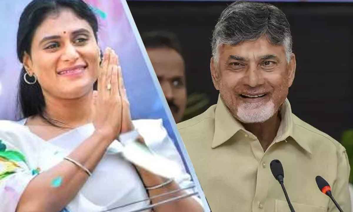 YS Sharmila to meet Chandrababu Naidu to invite to her son's wedding