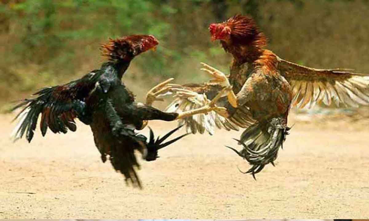 Animal Welfare Board Issues Emergency Advisory to Andhra Pradesh and ...