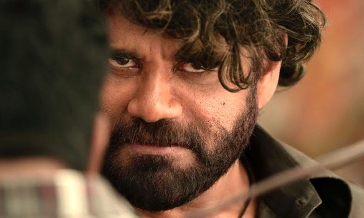 ‘Naa Saami Ranga’ continues rampage on Day 2 in Telugu states