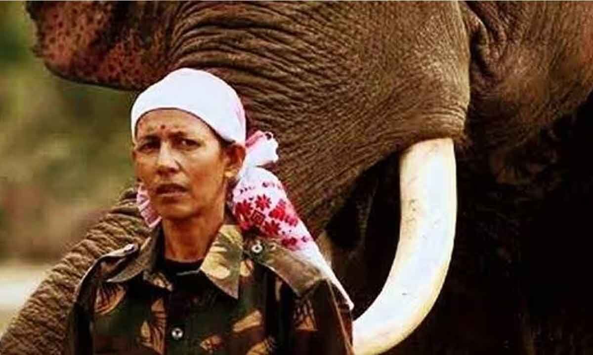 Woman mahout among 34 Padma Shri awardees