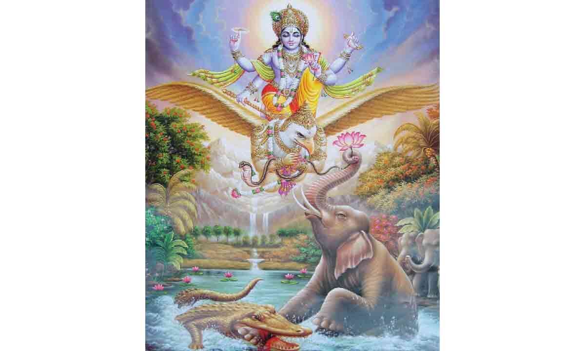 Elephant In the World