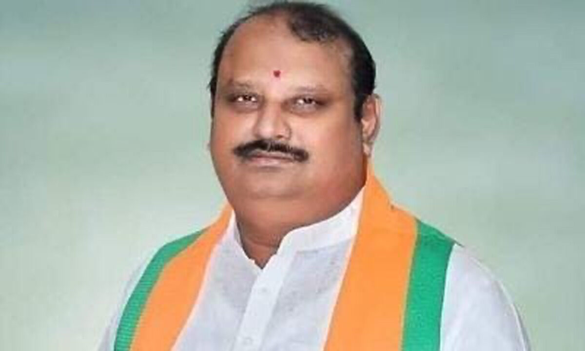 Let TDP speak about alliance, says BJP