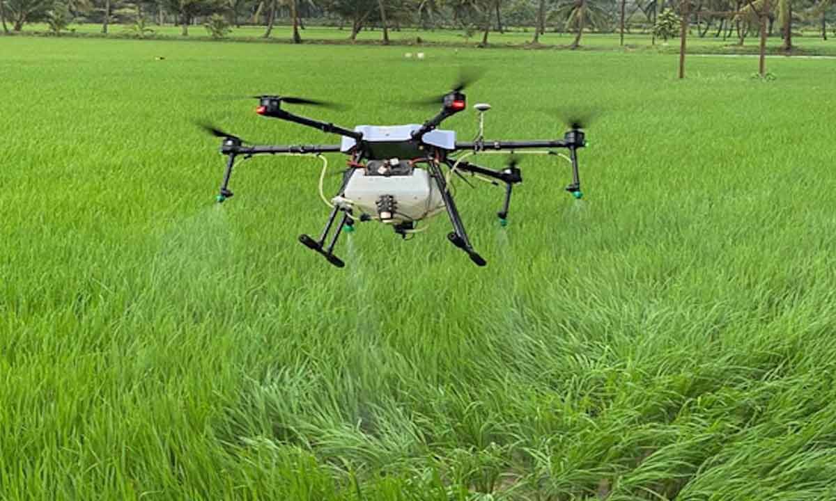 Drone Didi: IIT Mandi training women to become 'kisan drone operators'