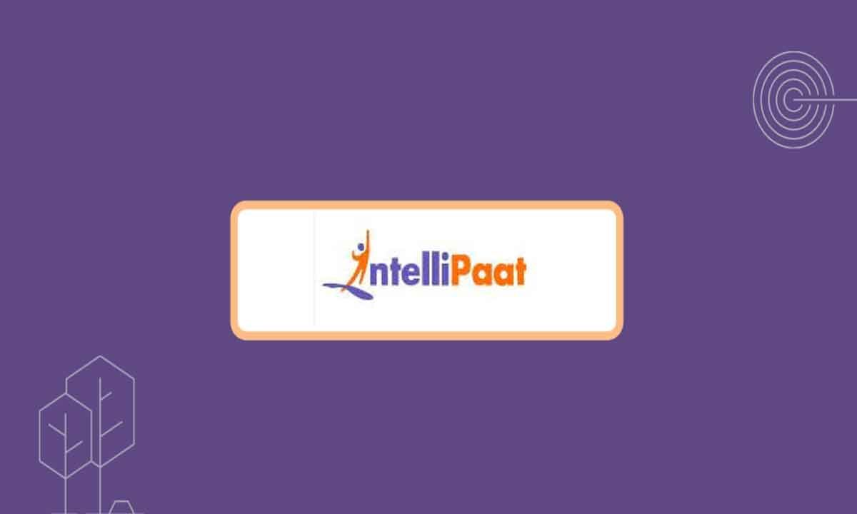 Breaking Barriers: The Visionary Journey of Intellipaat