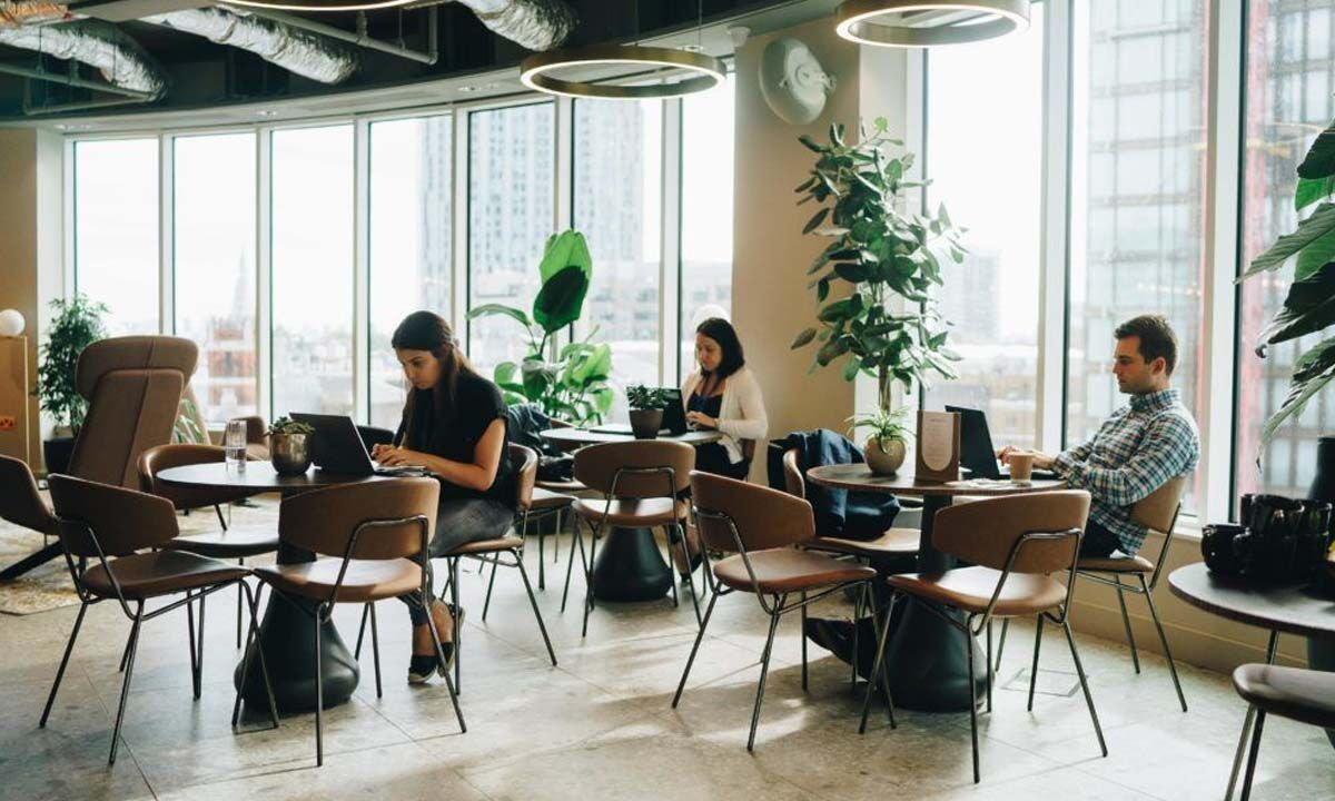 Innovations in sustainable office design pave the way for tomorrow’s ...