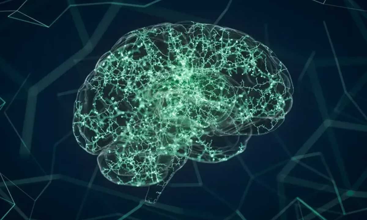 Polyglot's brain works differently with native language: MIT study