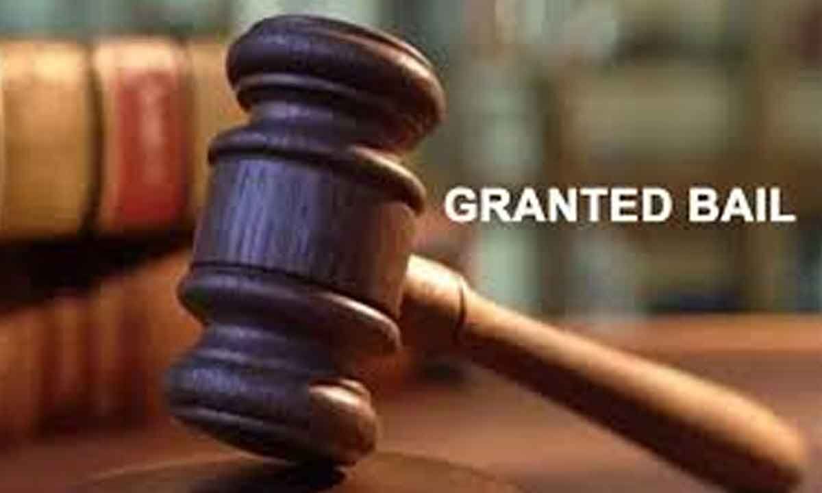 Court grants bail to TPCC IT cell members