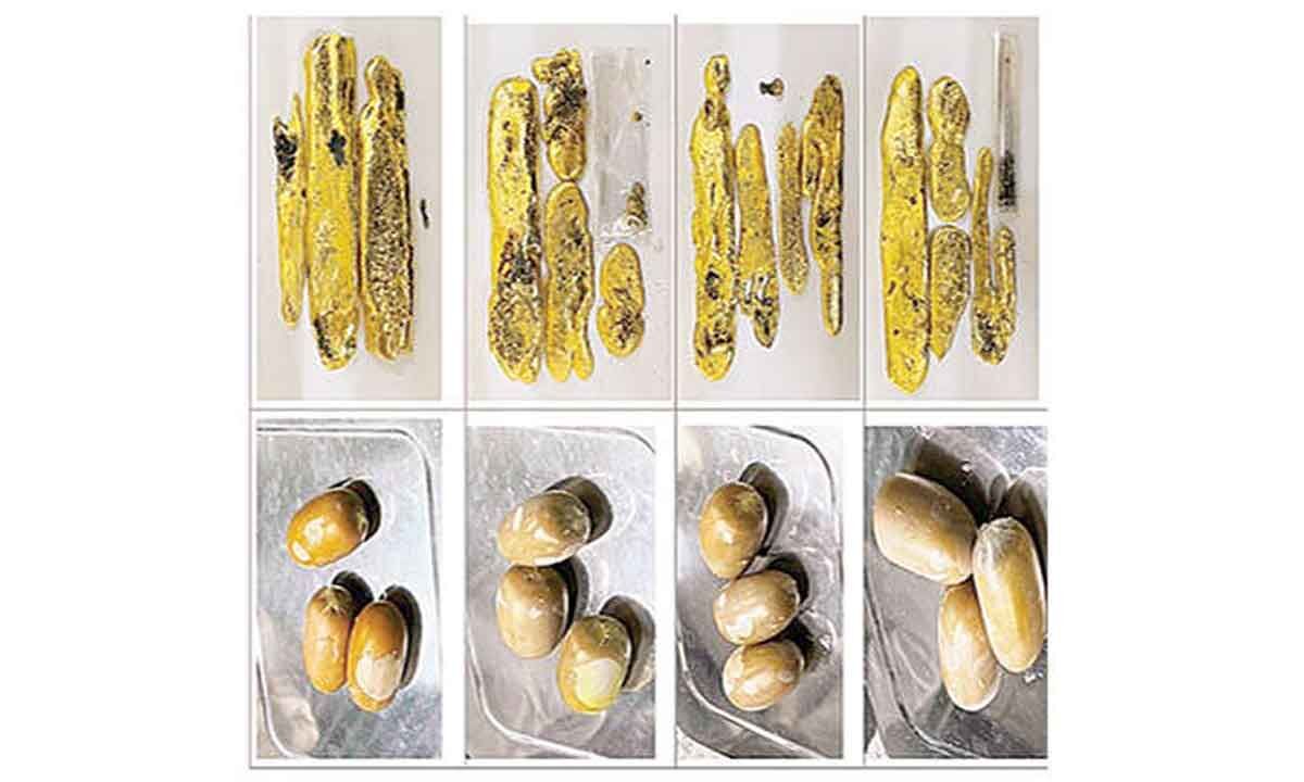 DRI seizes gold valued at Rs 2.79 cr