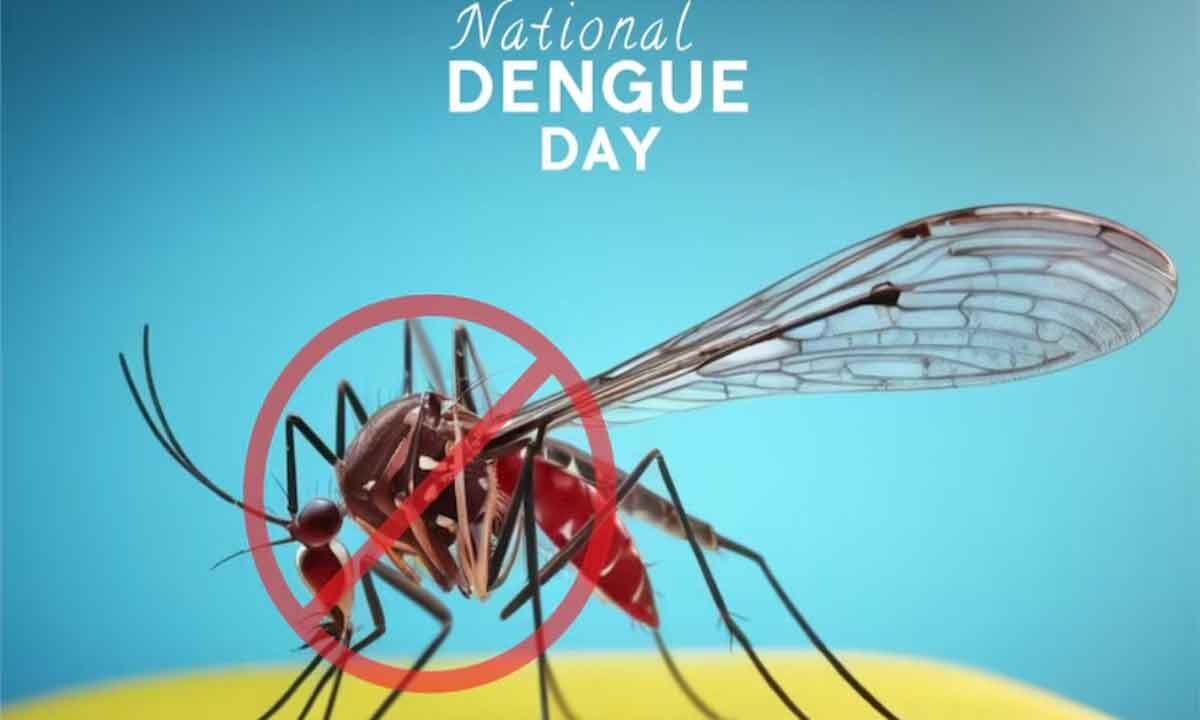 National Dengue Day: Prevention and awareness about dengue fever