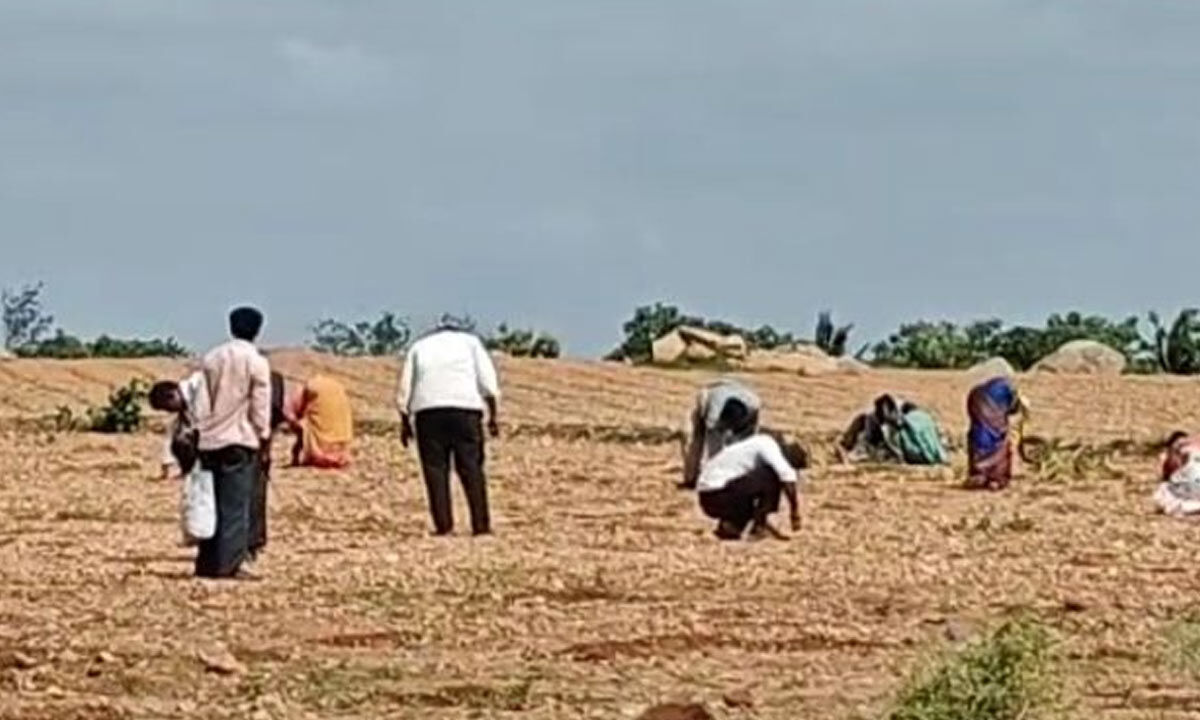 Diamond hunters descend on Pathikonda