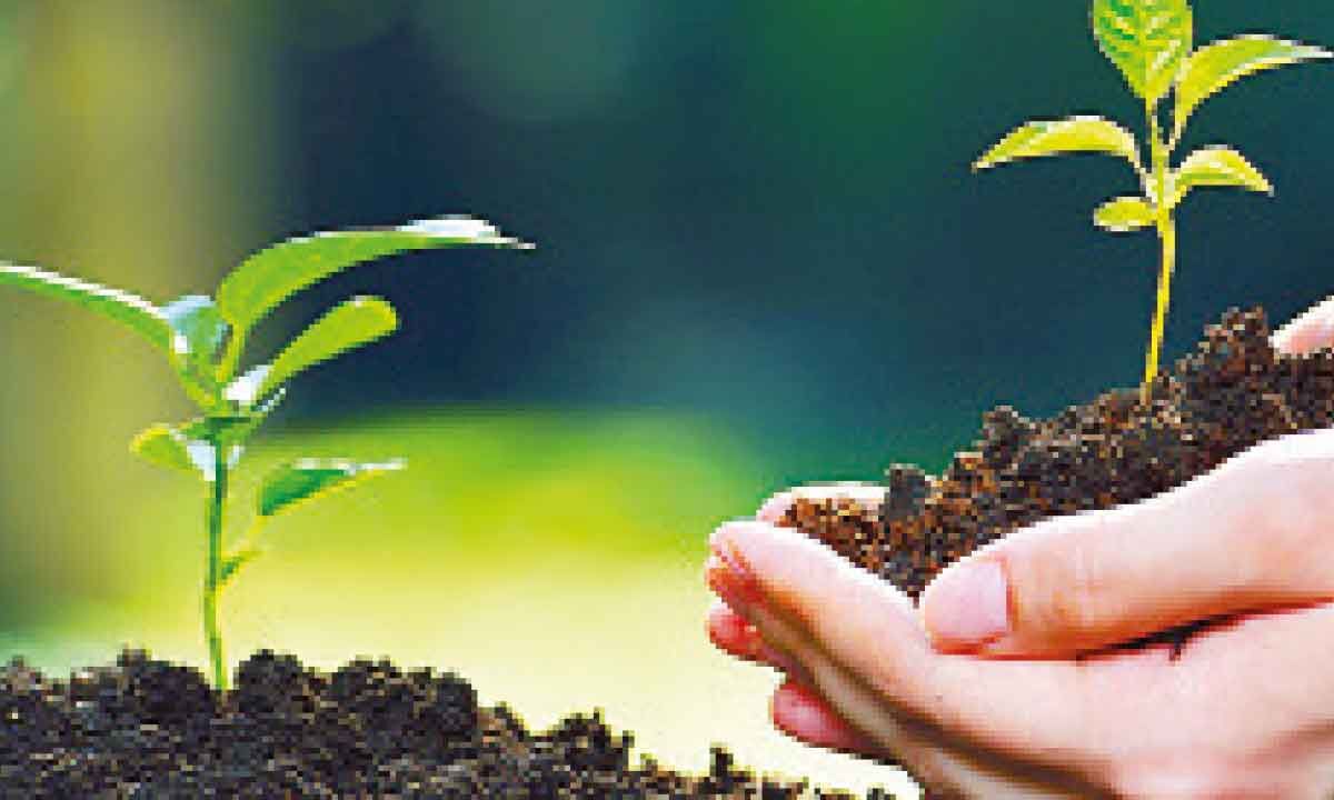 Sustainable agriculture:Environment-friendly farming