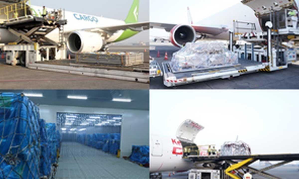 Adani Airports handles over 1 mn tonnes of cargo in FY24, logs ...