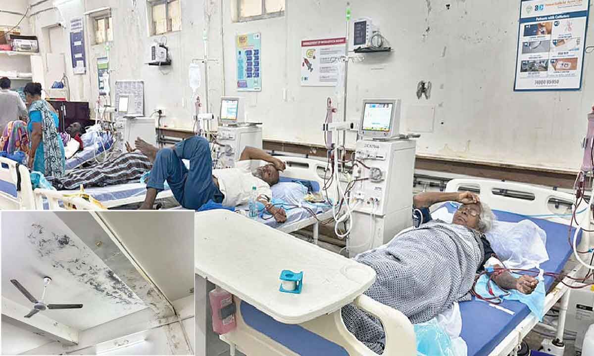 Dialysis patients face severe hardships amid official neglect