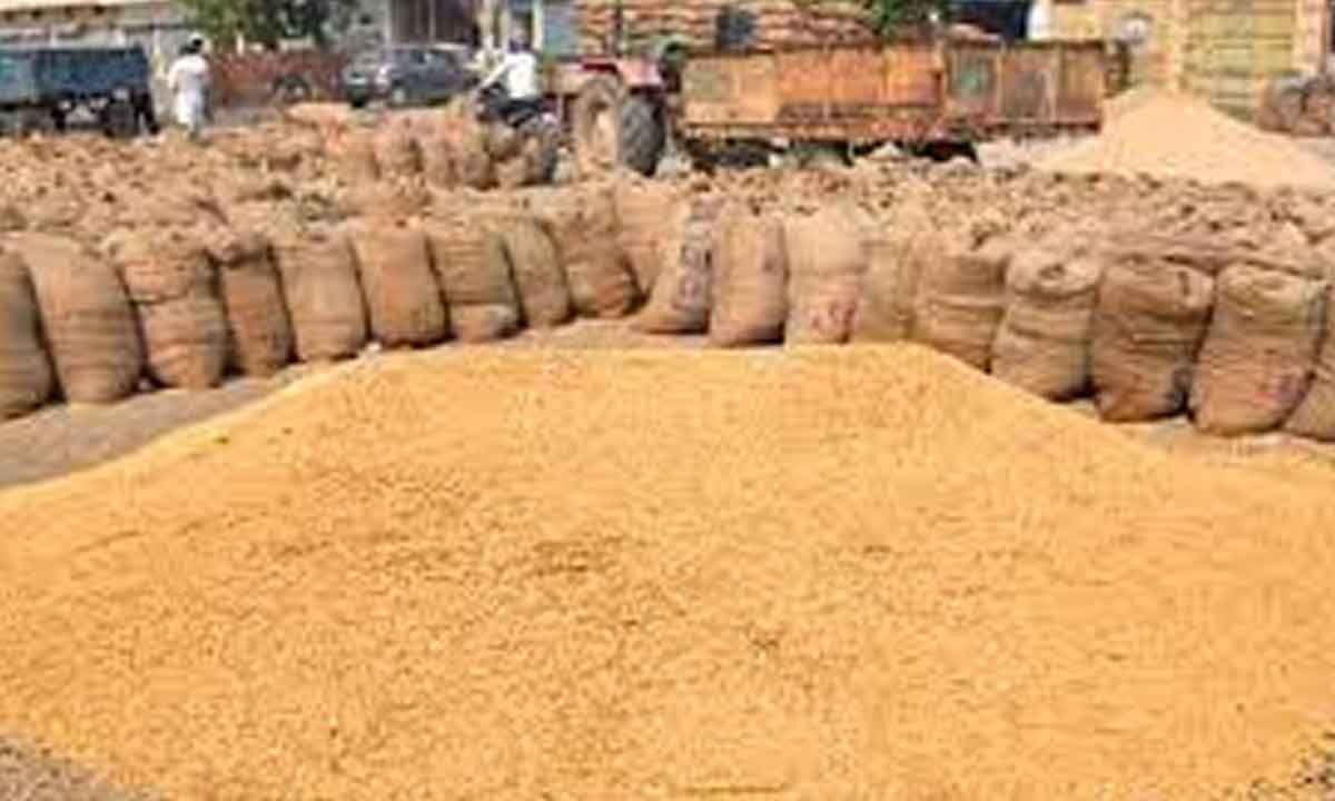 Govt raises MSP for paddy to Rs 2,300 per quintal