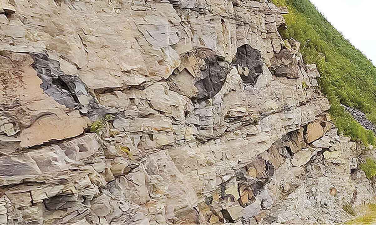 Remnants of Earth’s primordial crust found near Perth