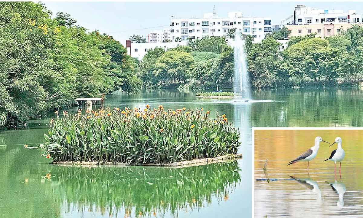 Neknampur Lake garners accolades for restoration