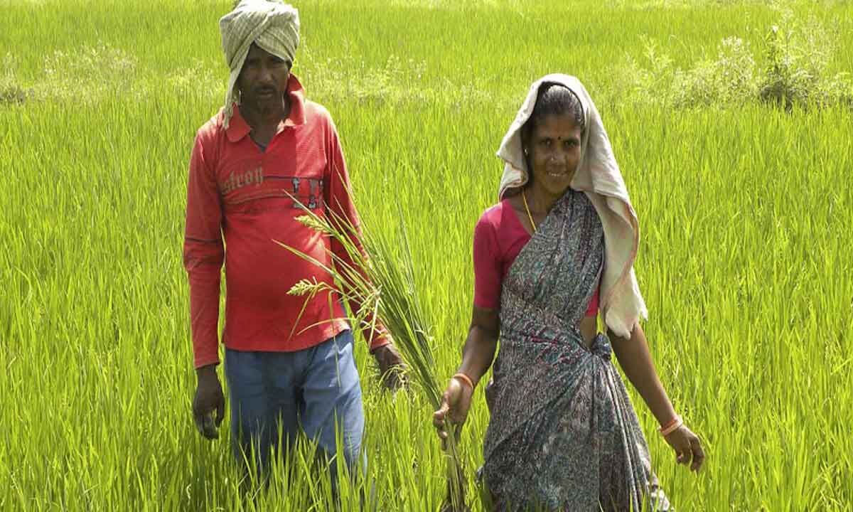 RBKs renamed as Rythu Seva Kendras