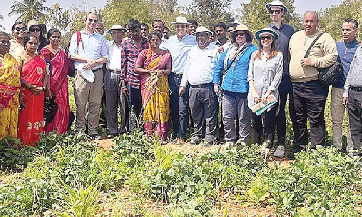 Rythu Sadhikara Samstha emerging as global resourceful organiSation