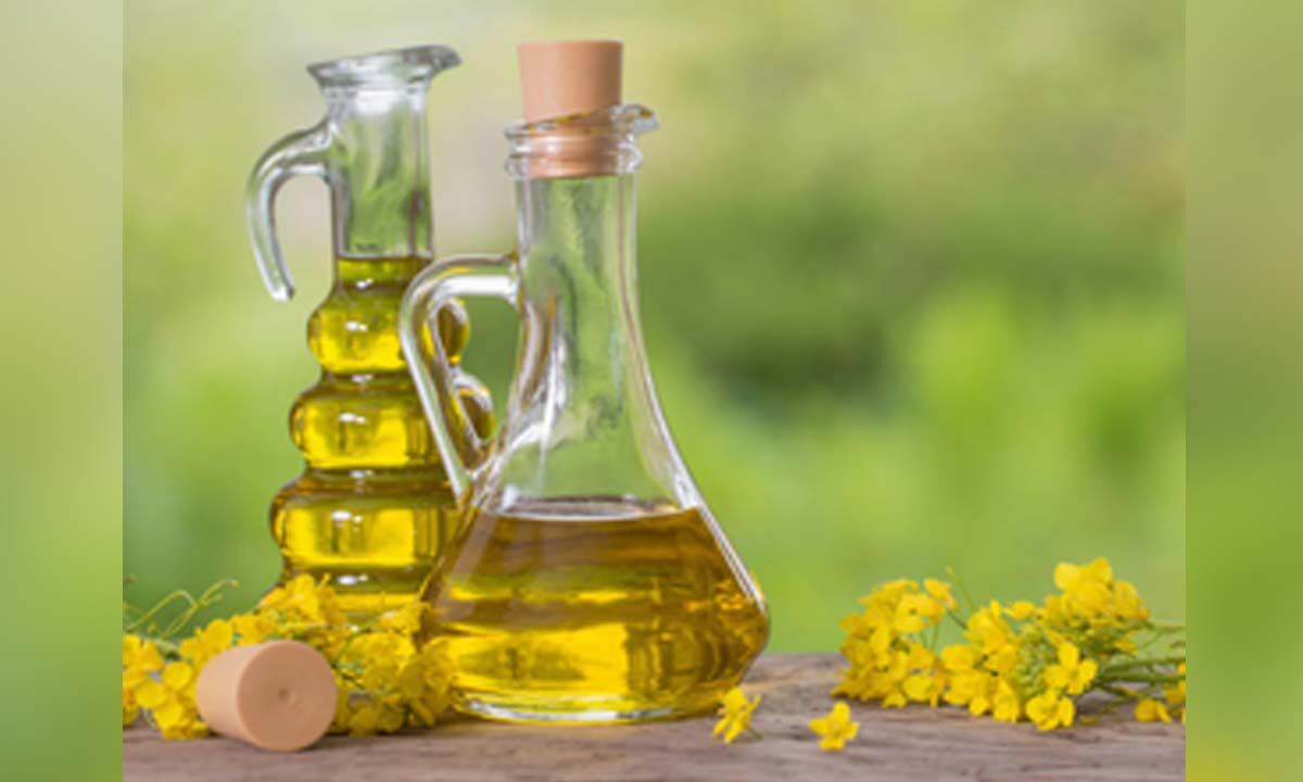Is replacing butter with high-quality plant oils healthy?