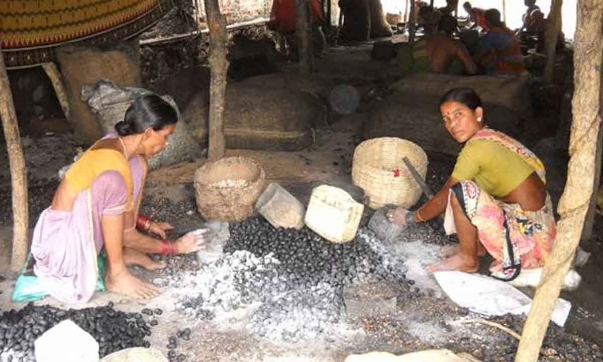 Industrial Park at Palasa yet to see light of the day