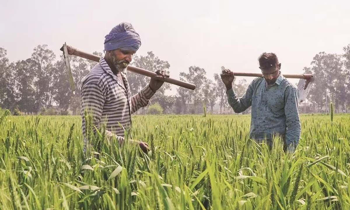 Farmers demand fulfilment of promises