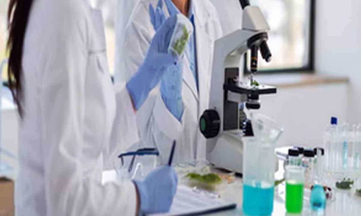 New study finds career barriers for young scientists embracing ...