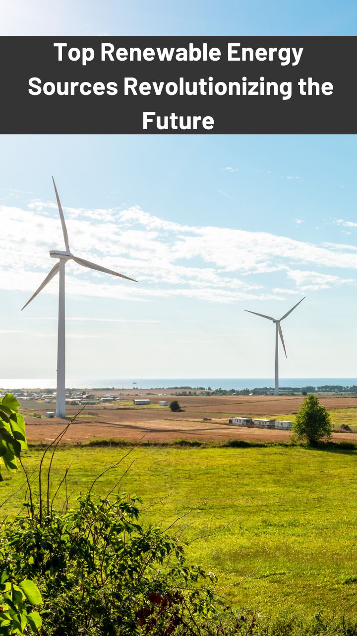 Top Renewable Energy Sources Revolutionizing the Future