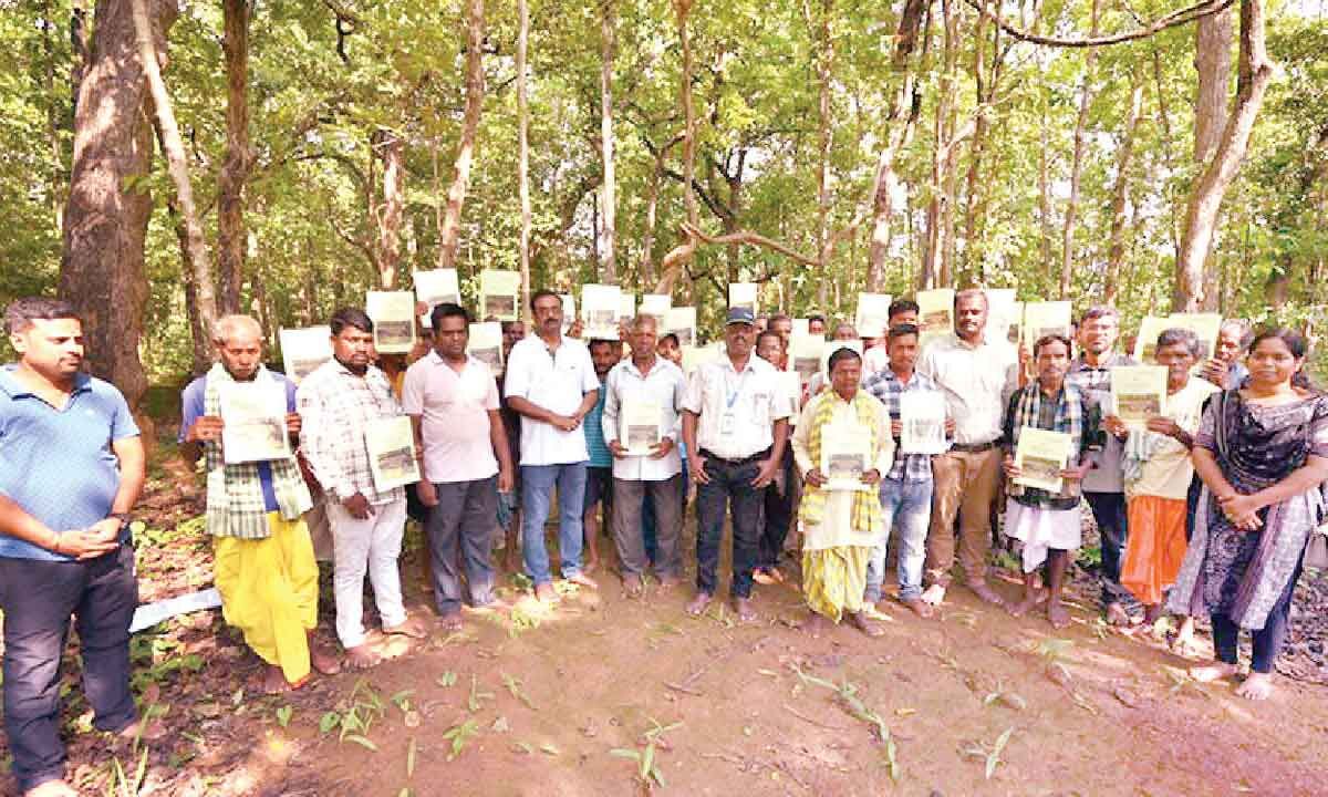 Odisha accords habitat rights to three PVTGs